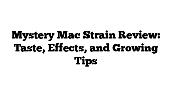 Mystery MAC Strain Review: Taste, Effects, and Growing Tips – 420 Big Bud