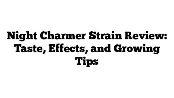 Night Charmer Strain Review: Taste, Effects, and Growing Tips – 420BB ...
