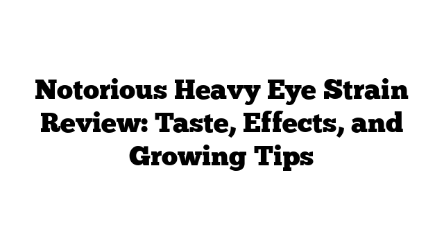 Notorious Heavy Eye Strain: Taste, Effects, and Growing Tips – 420 Big Bud