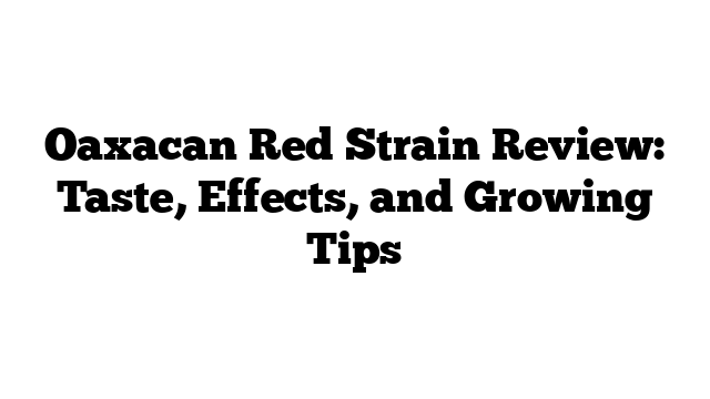 OAXACAN RED STRAIN REVIEW: TASTE, EFFECTS, AND GROWING TIPS – 420 Big Bud