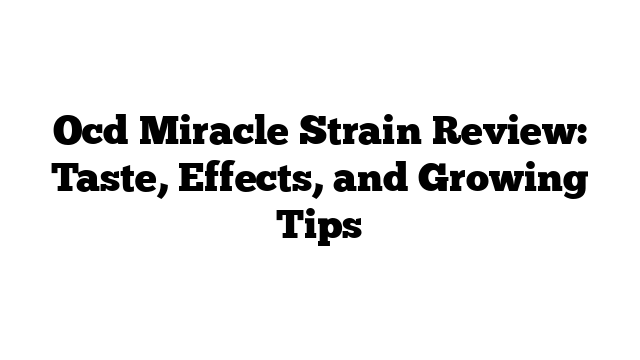 OCD Miracle Strain Review: Taste, Effects, and Growing Tips – 420 Big Bud