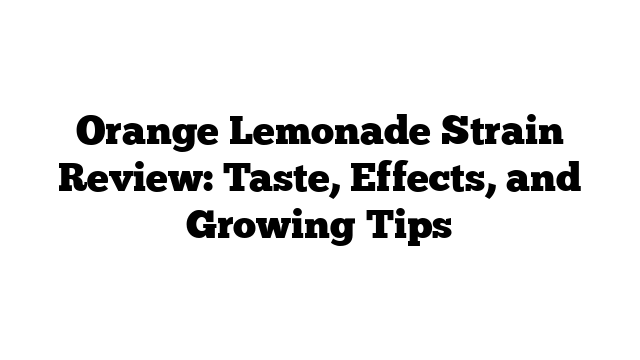 Orange Lemonade Strain Review: Taste, Effects, and Growing Tips – 420 ...