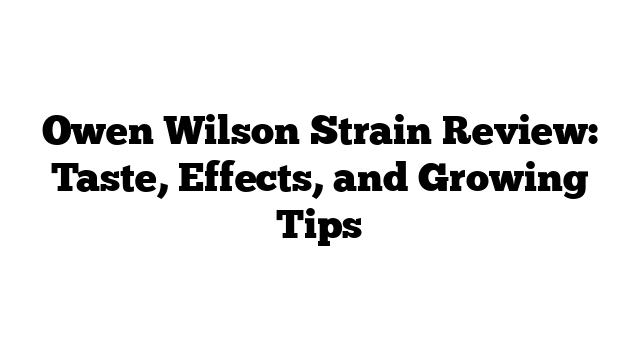 Owen Wilson Strain Review: Taste, Effects, and Growing Tips – 420 Big Bud