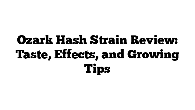 Ozark Hash Strain Review: Taste, Effects, and Growing Tips – 420 Big Bud