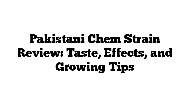 Pakistani Chem Strain Review: Taste, Effects, and Growing Tips – 420BB ...