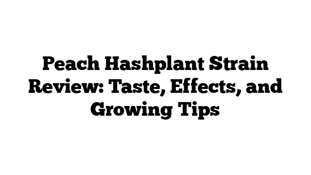 Peach Hashplant Strain Review: Taste, Effects, and Growing Tips – 420 ...