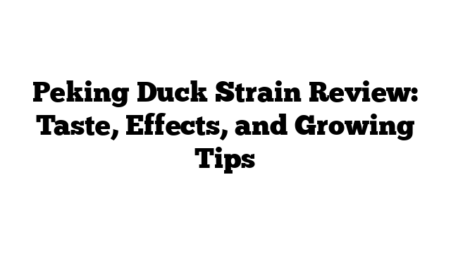 Peking Duck Strain Review: Taste, Effects, and Growing Tips – 420 Big Bud