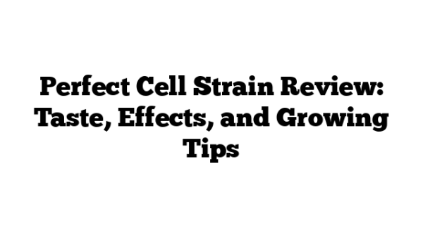 Perfect Cell Strain Review: Taste, Effects, and Growing Tips – 420 Big Bud