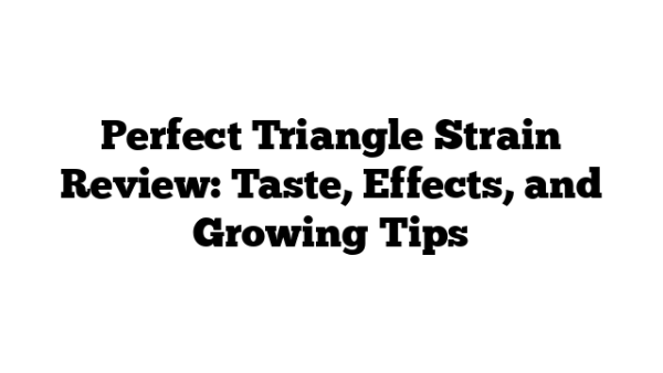 Perfect Triangle Strain Review: Taste, Effects, and Growing Tips – 420 ...