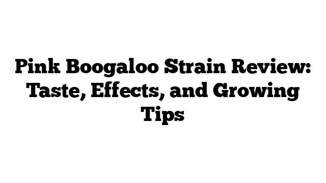 Pink Boogaloo Strain Review: Taste, Effects, and Growing Tips – 420 Big Bud