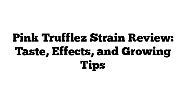 Pink Trufflez Strain Review: Taste, Effects, and Growing Tips – 420BB ...