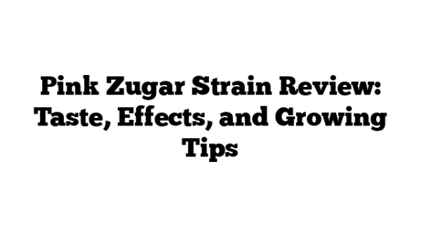 Pink Zugar Strain Review: Taste, Effects, and Growing Tips – 420BB ...