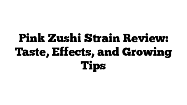 Pink Zushi Strain Review: Taste, Effects, and Growing Tips – 420 Big Bud