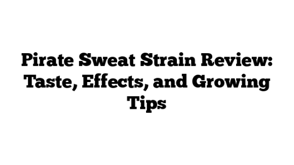 Pirate Sweat Strain Review: Taste, Effects, and Growing Tips – 420BB ...