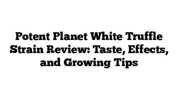 Potent Planet White Truffle Strain Review: Taste, Effects, and Growing ...