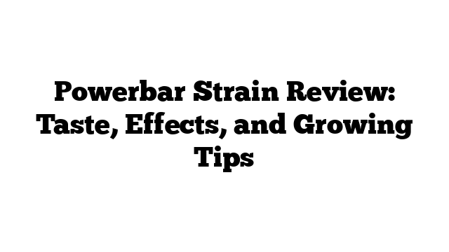 Powerbar Strain Review: Taste, Effects, and Growing Tips – 420 Big Bud