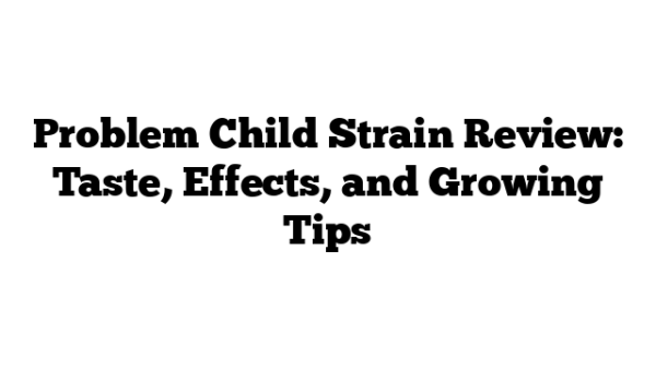Problem Child Strain Review: Taste, Effects, and Growing Tips – 420 Big Bud