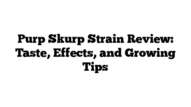 Purp Skurp Strain Review: Taste, Effects, and Growing Tips – 420 Big Bud