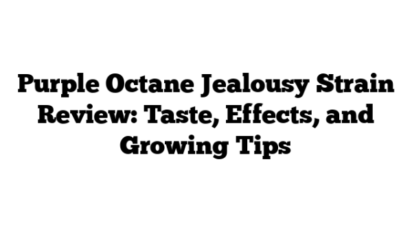 Purple Octane Jealousy Strain Review: Taste, Effects, and Growing Tips ...