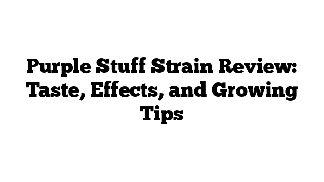 Purple Stuff Strain Review: Taste, Effects, and Growing Tips – 420 Big Bud