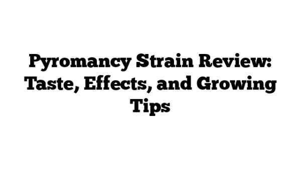 Pyromancy Strain Review: Taste, Effects, and Growing Tips – 420 Big Bud