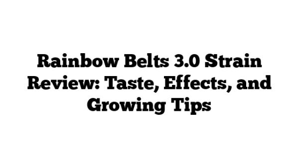 Rainbow Belts 3.0: A Comprehensive Strain Review – 420 Big Bud