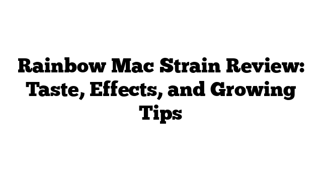 Rainbow Mac Strain Review: Taste, Effects, and Growing Tips – 420 Big Bud