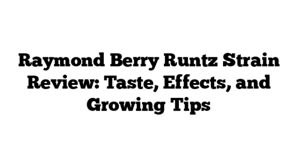 Raymond Berry Runtz Strain: An In-Depth Review and Growing Guide – 420 ...