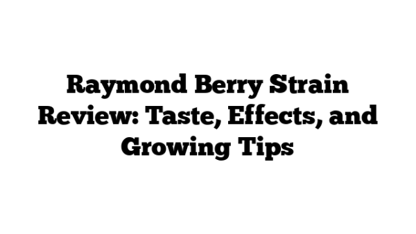 Raymond Berry Strain Review: Taste, Effects, and Growing Tips – 420BB ...