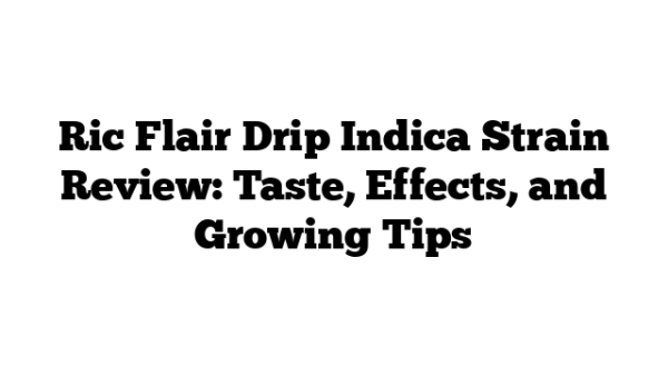 Ric Flair Drip Indica Strain Review: Taste, Effects, and Growing Tips ...