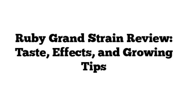 Ruby Grand Strain Review: Taste, Effects, and Growing Tips – 420 Big Bud