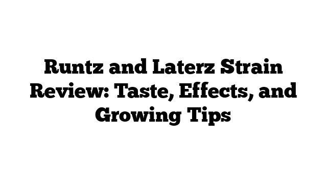 and Laterz Strain Review: Taste, Effects, and Growing Tips – 420 Big Bud
