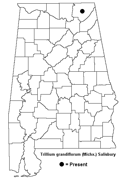 Trillium grandiflorum Plant Identification (Flower, Leaf, Care, Uses ...