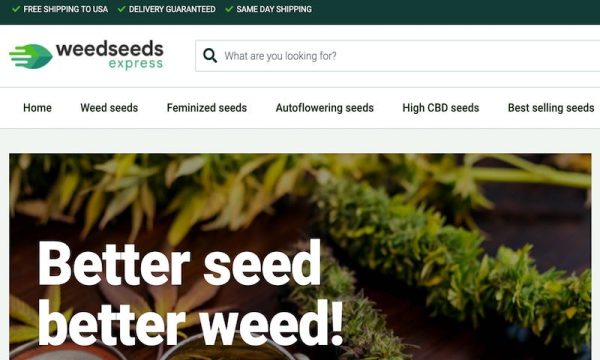 Weed Seed Express Since 2005 – Affordable and High Based cannabis seeds ...