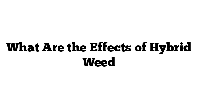 Effects of Hybrid Weed: A Complete Guide – 420 Big Bud