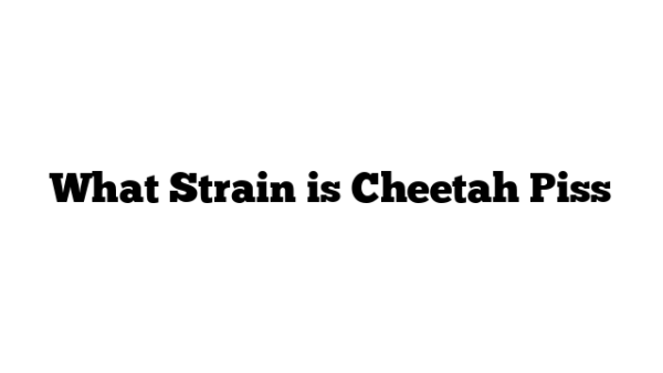 What is the Cheetah Piss Strain? – 420 Big Bud