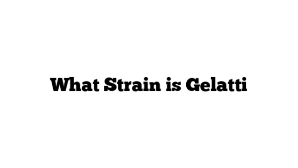 Exploring the Gelatti Strain: A Unique Hybrid Blend of Gelato and ...