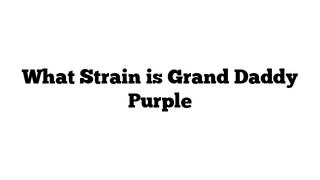 What Strain is Grand Daddy Purple? – 420 Big Bud
