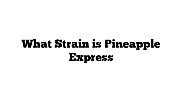 What Strain is Pineapple Express – 420 Big Bud