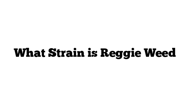 What Strain is Reggie Weed? – 420 Big Bud