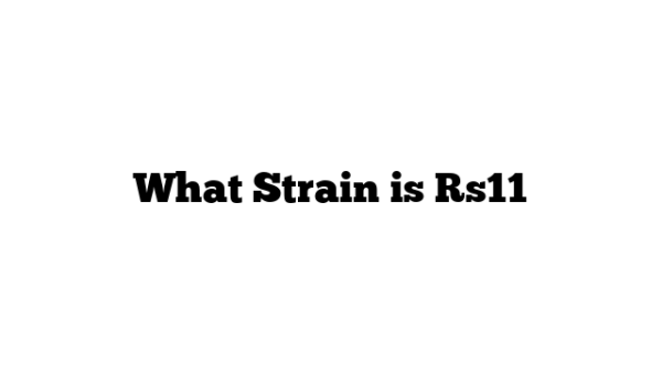 The RS11 Strain: A Comprehensive Guide – 420 Big Bud
