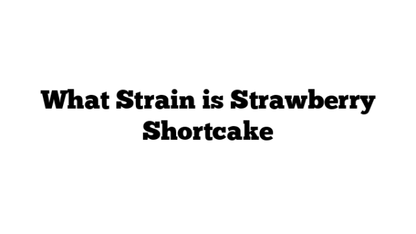 What Strain is Strawberry Shortcake? – 420BB: Premium Pipes & Bongs