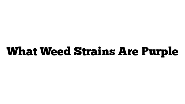 The Allure of Purple Weed Strains: A Guide to Popular Varieties – 420 ...