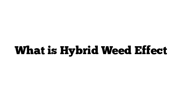 What is Hybrid Weed Effect – 420 Big Bud