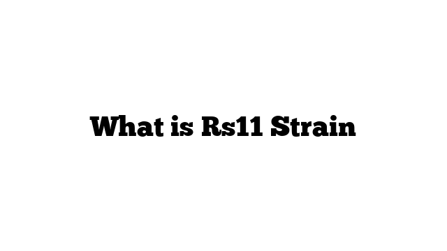RS11 Strain: A Comprehensive Guide – 420 Big Bud