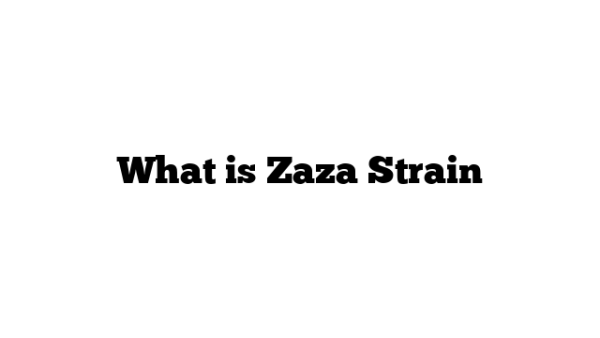 What is Zaza Strain? – 420 Big Bud