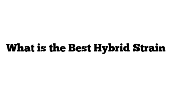 The Best Hybrid Strains: A Guide to the Perfect Blend – 420 Big Bud