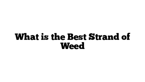 What is the Best Strand of Weed – 420BB: Premium Pipes & Bongs