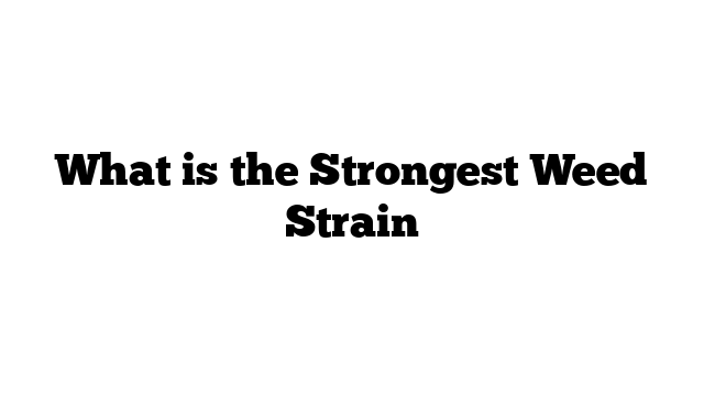 What is the Strongest Weed Strain? – 420 Big Bud
