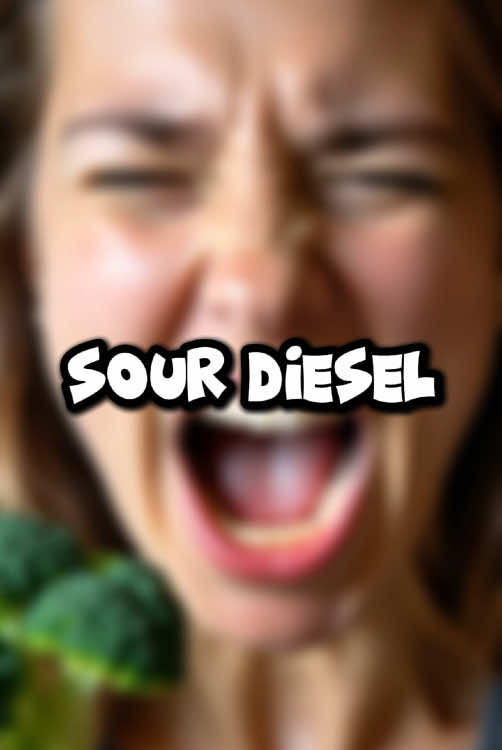 Acid Diesel: A Blast From the Past with a Creative Kick – 420 Big Bud